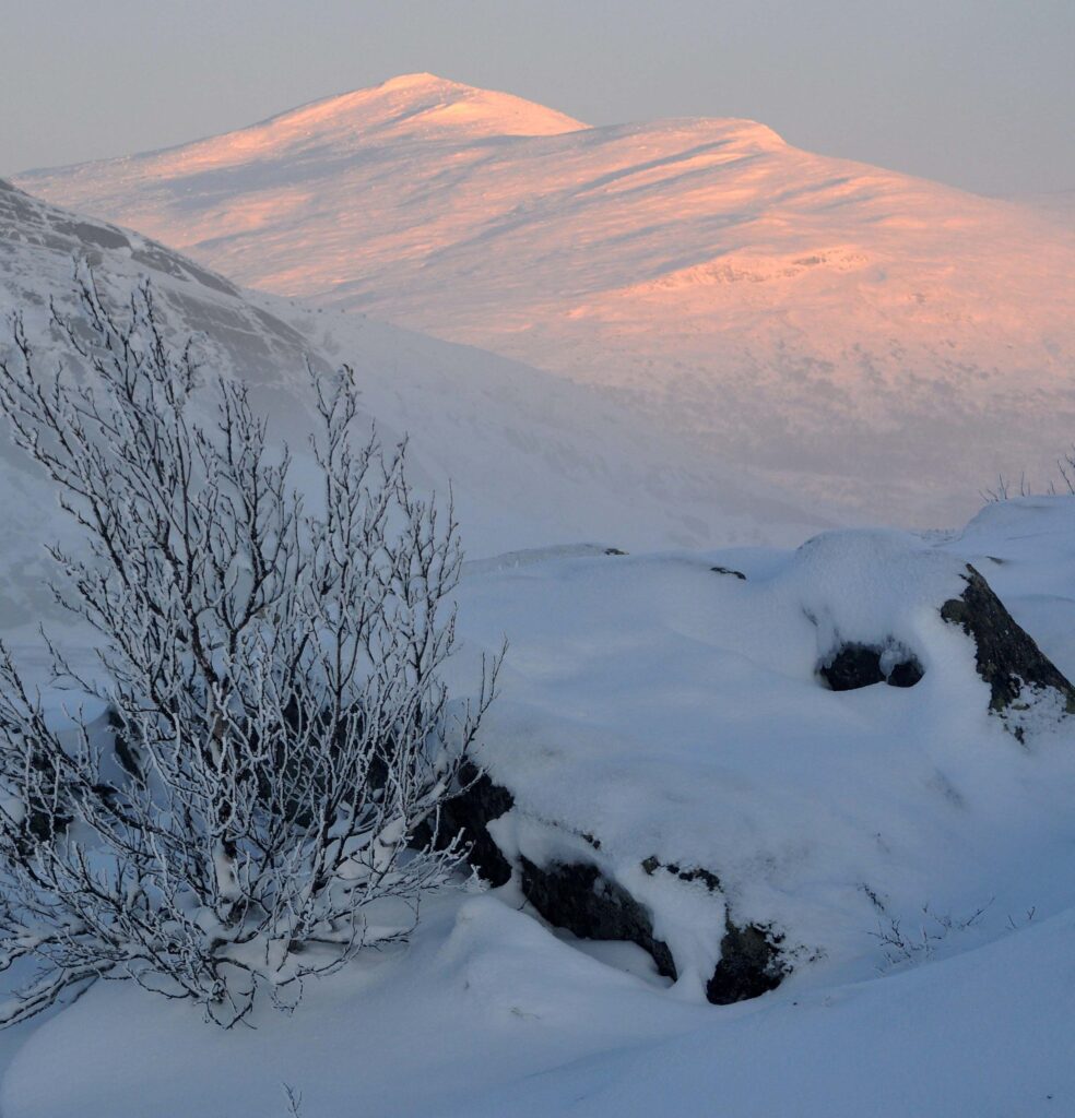 Feragen fjellstyre - Bygdefolket.no